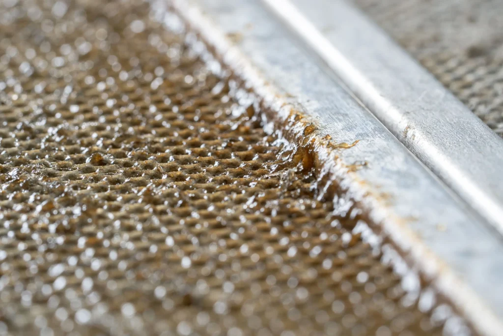 How Grease Buildup Impacts Restaurant Safety | Hoods Kitchen Exhaust